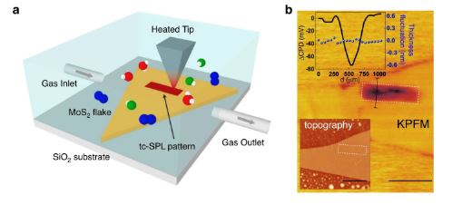 Application of NanoFrazor in fabrication of p-n junctions in 2D materi ...